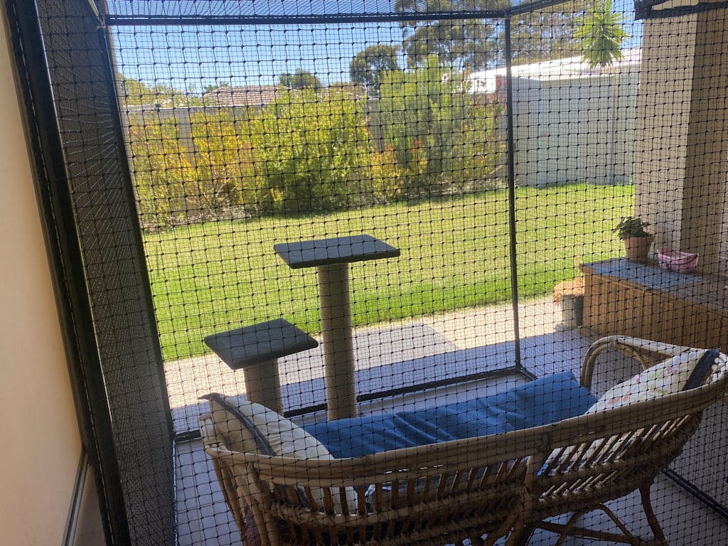 Single Size 1.8m Free-Standing Cat Enclosure – Catnets New Zealand