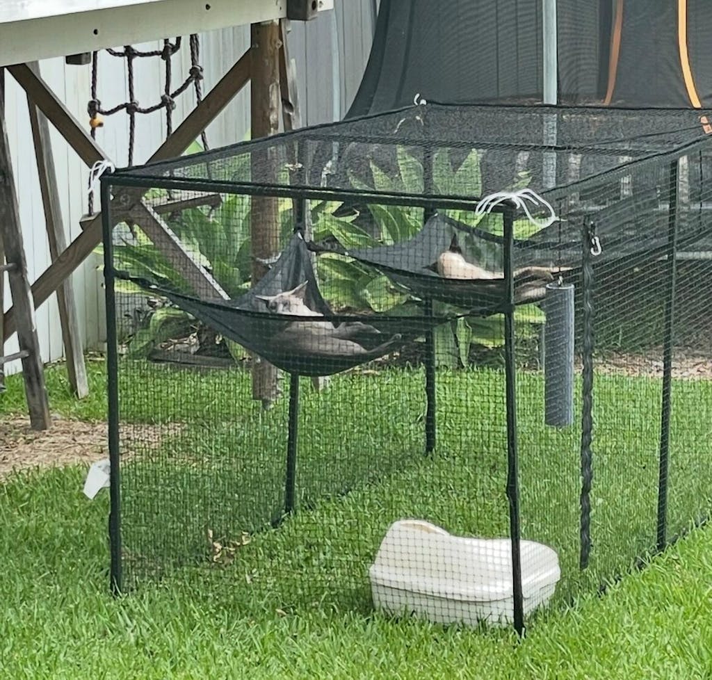 Lite Portable Cat Enclosure 2.3m – Catnets