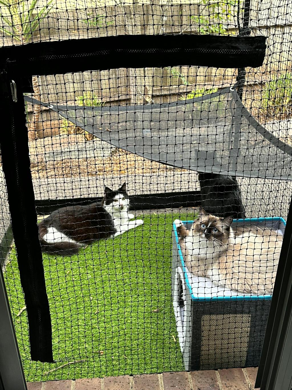 Premium Portable Cat Enclosure 1.2m – Catnets