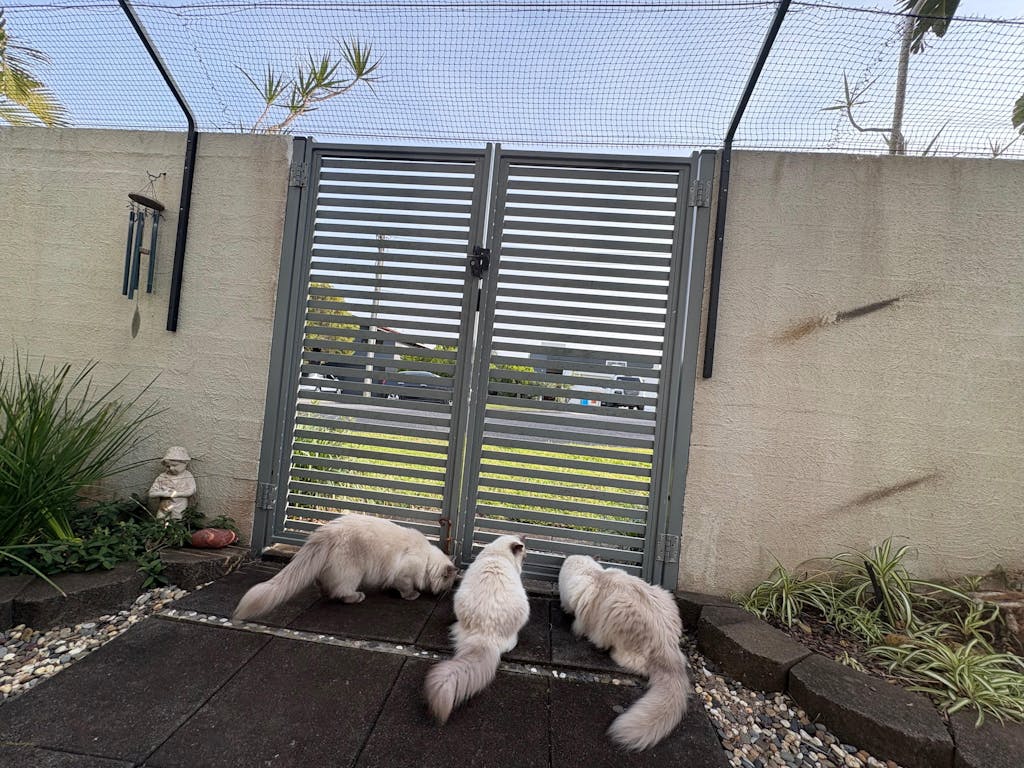 Angled Fence Extension Brackets – Catnets New Zealand