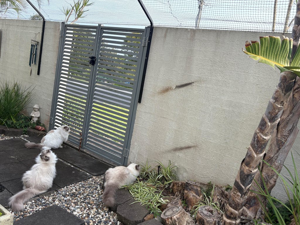 Angled Fence Extension Brackets – Catnets New Zealand