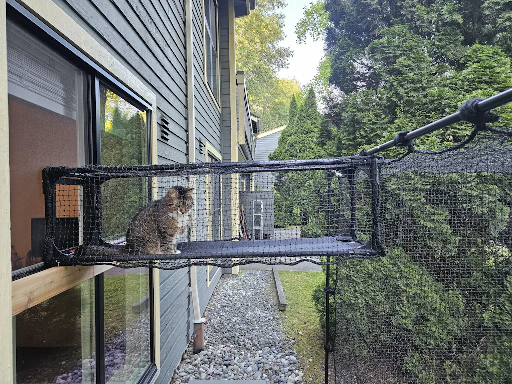 Premium Portable Catio 11'8" – Catnetting