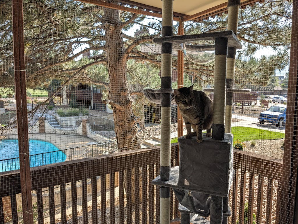 Cat Netting (by-the-foot) - Stone – Catnetting