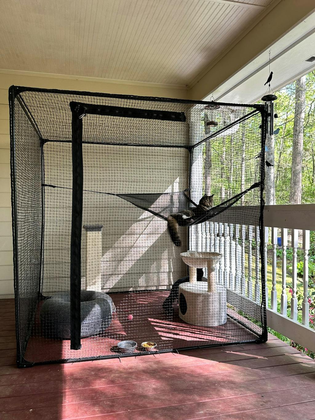 Single Size Classic Portable Catio 5'10" – Catnetting