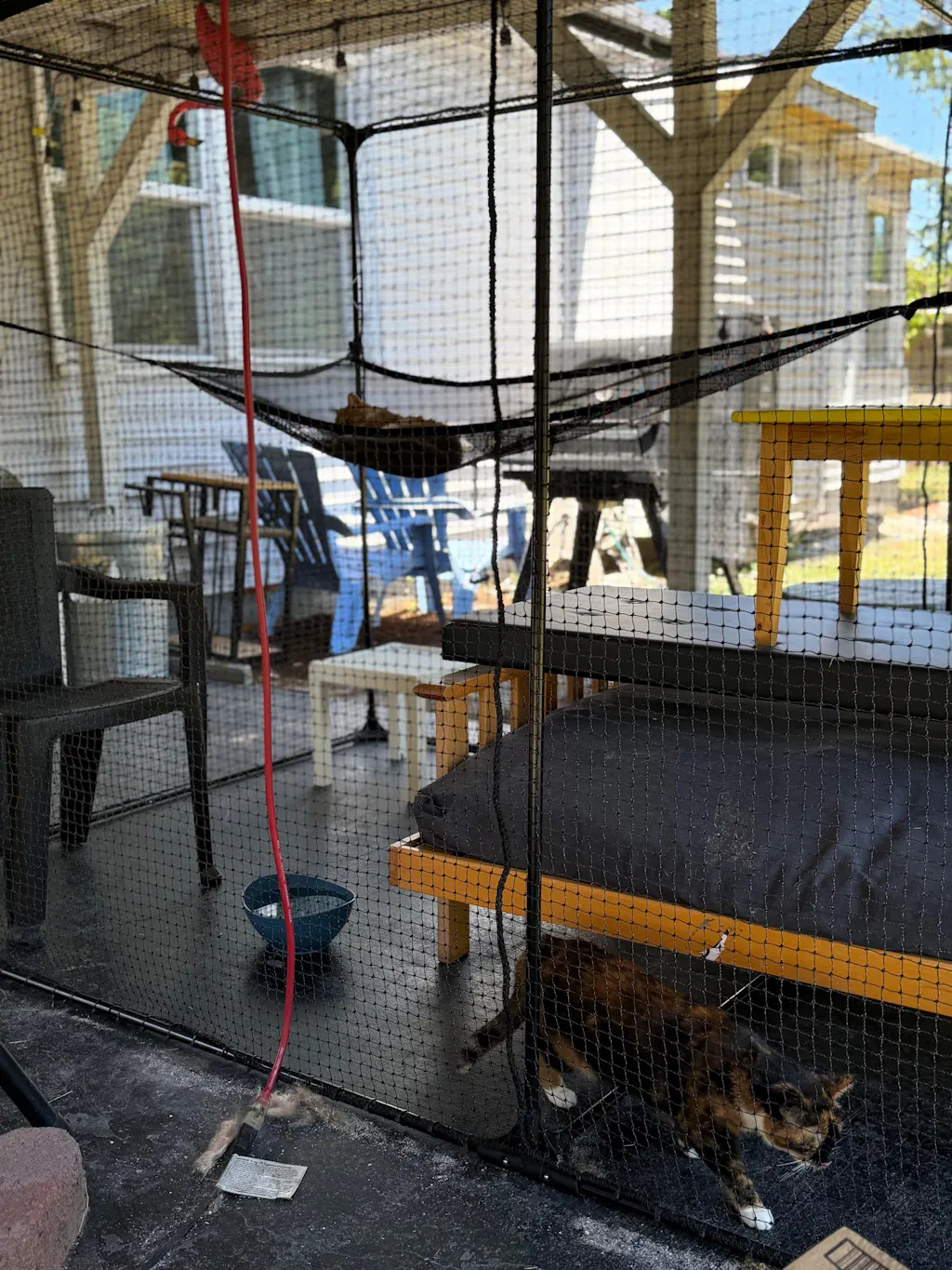 Double Size Classic Portable Catio 11'8" – Catnetting