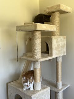 Sisal Rope Wrapped Cat Scratching Replacement Posts - Fits Armarkat ...