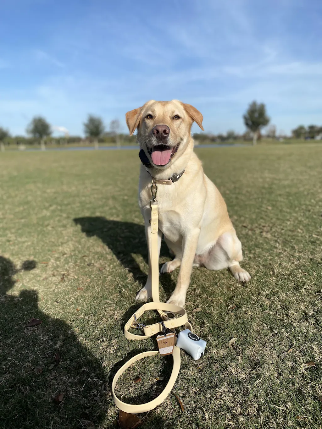 Hands-Free Multiway Dog Leash – Weatherproof PVC, 7ft | Cream