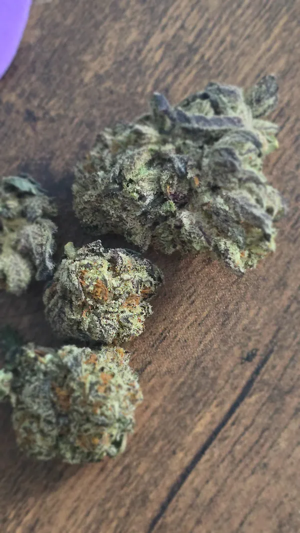Shop Hemp Flower | Delta-8 Flower | THCa Flower - CBD Hemp Direct