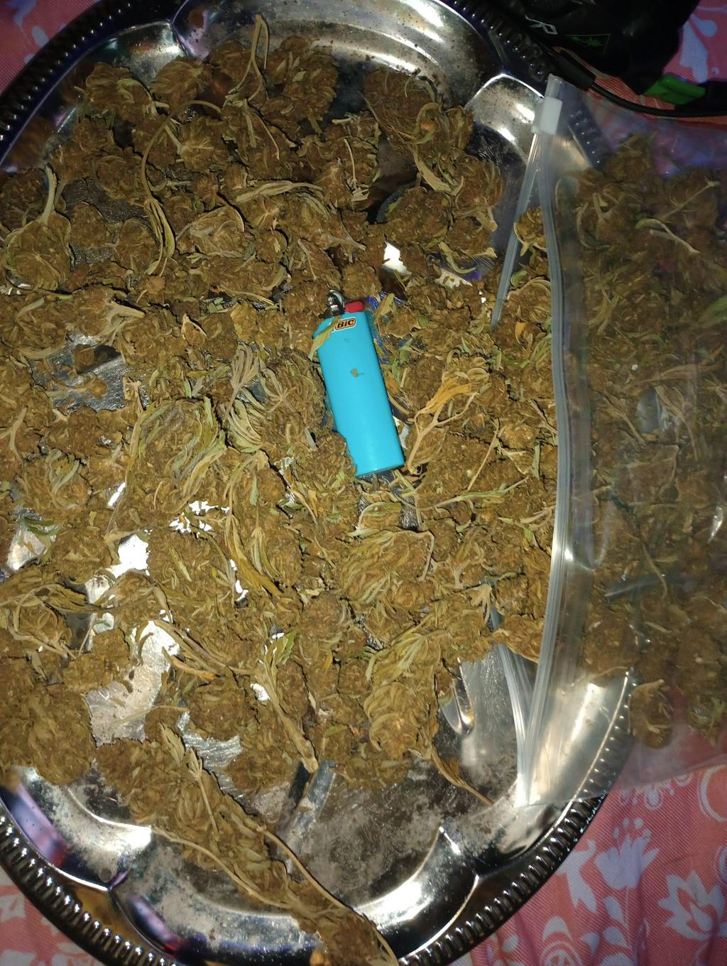 Cheap THCa Flower | $20 Ounce / $65 Quarter Pound!