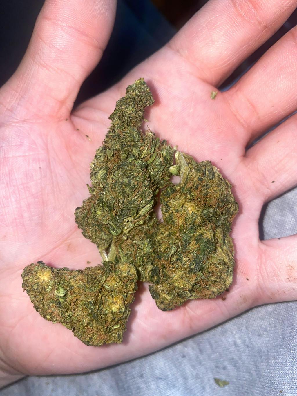 Cheap THCa Flower | $20 Ounce / $65 Quarter Pound!