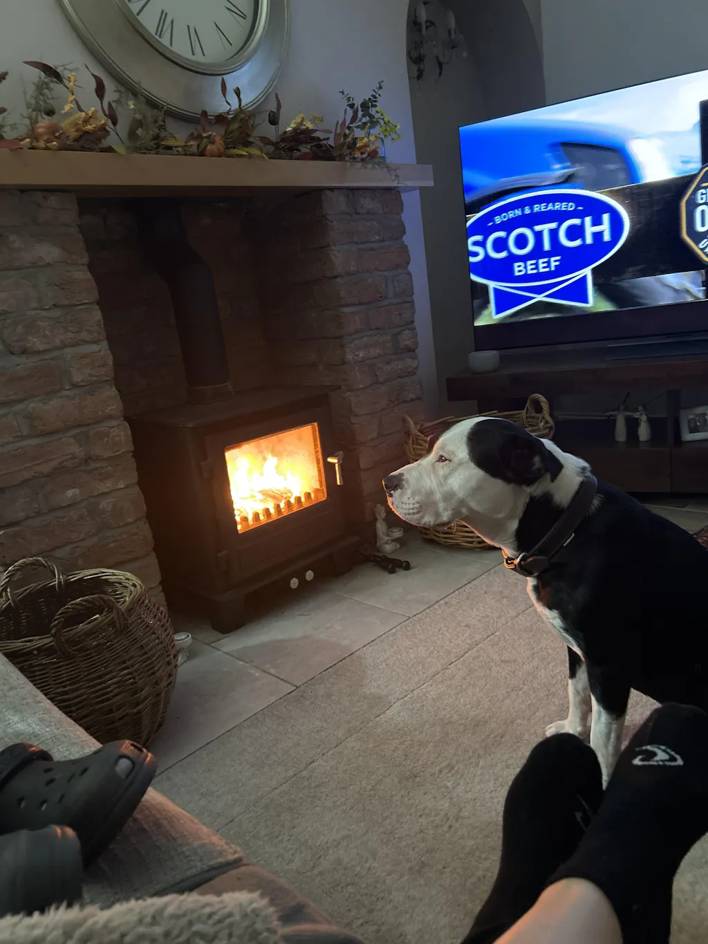 Kiln Dried Logs Falkirk, West Lothian & Edinburgh – Central Landscaping ...
