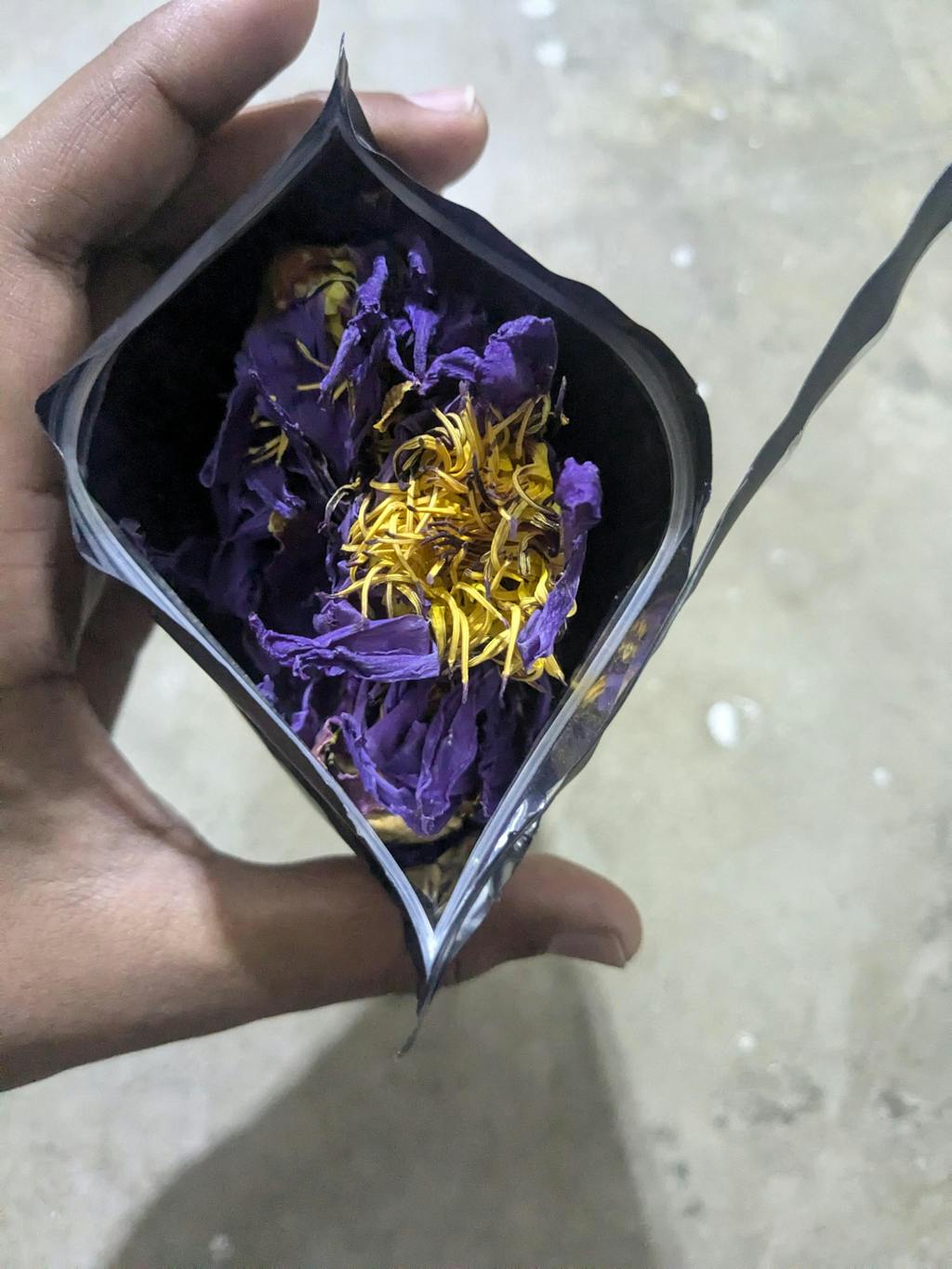 Blue Lotus Tea | Premium Natural Herbal Tea with Blue Lotus Flowers ...