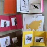 Montessori Animals and Continents Activity Pack – Chalk Academy