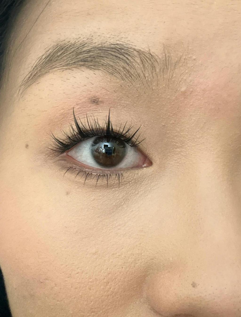 Summer Eclipse - Soft, Feathery, Delicate – Char.