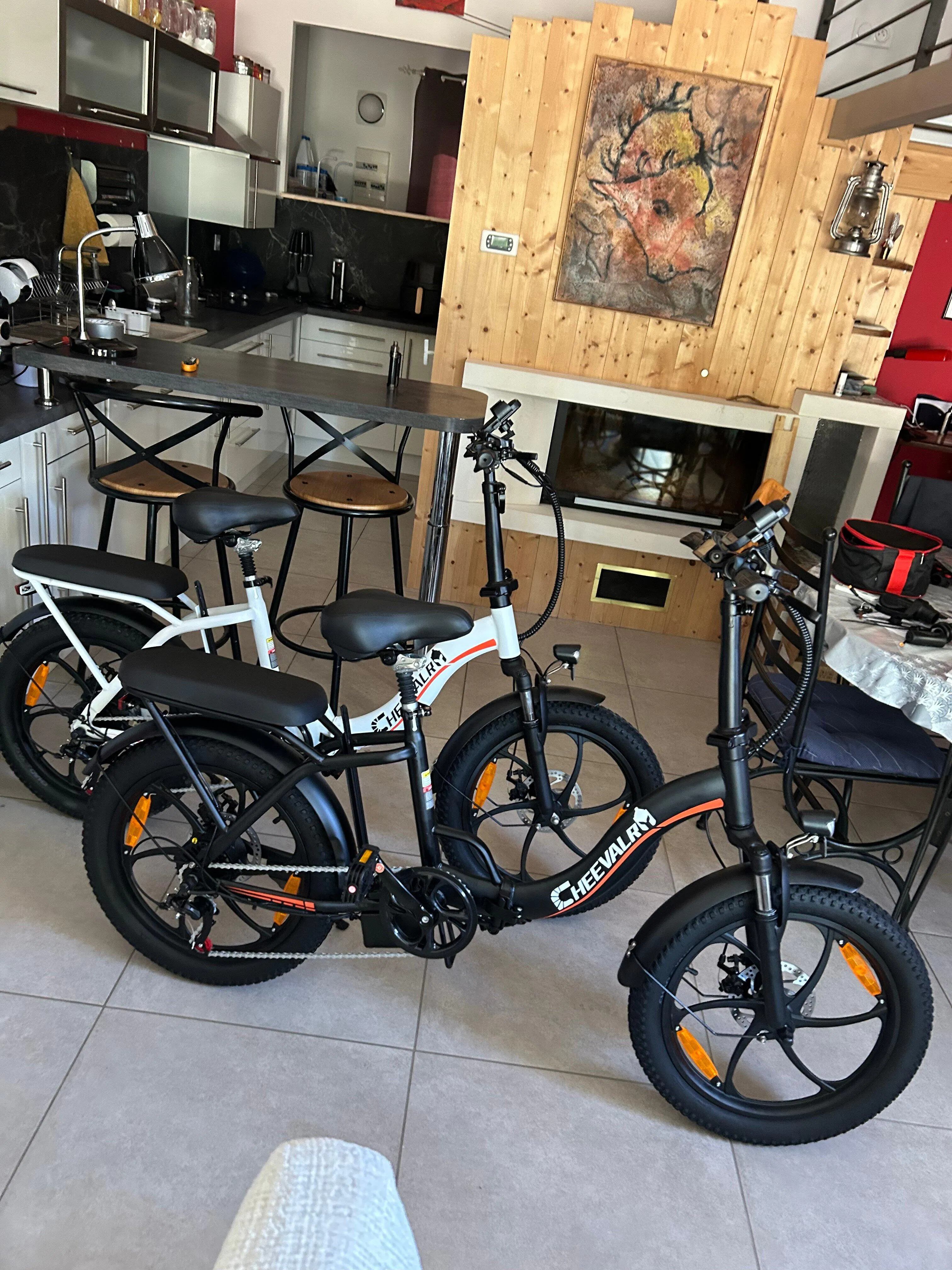 CHEEVALRY C16 Electric bikes