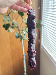 Chella™ - Discovering Forgotten Snacks | Natural Fruit & Nut Snacks ...