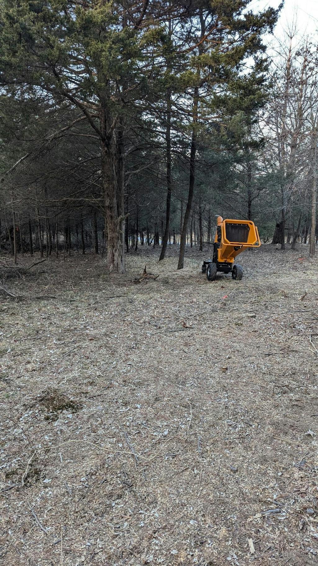 6" 15 HP 420cc Gas Powered Wood Chipper – Chery Industrial