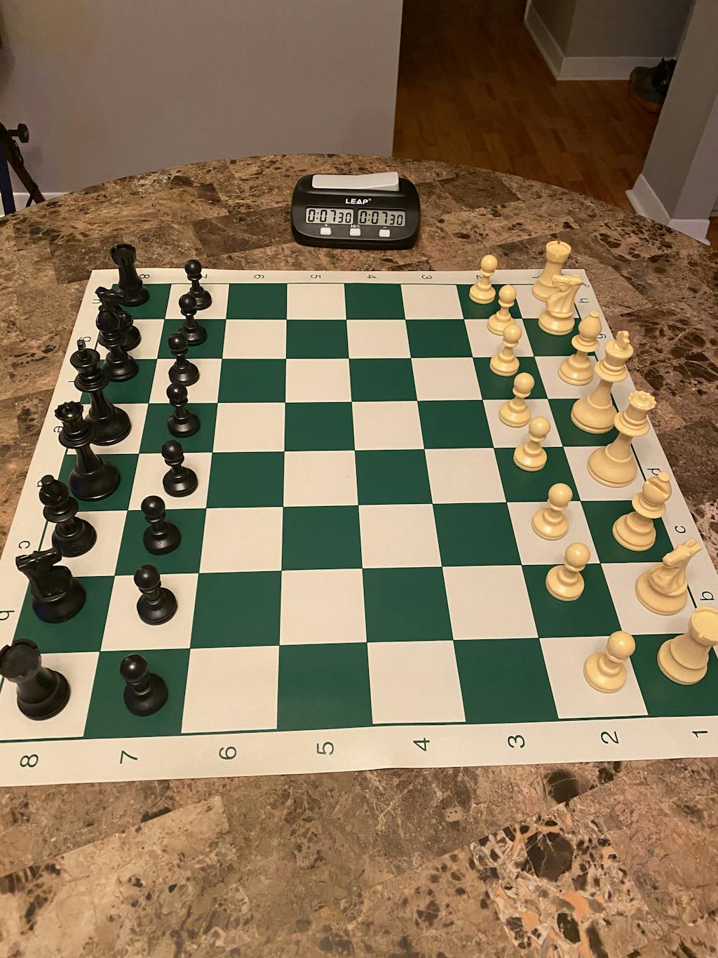 Quality Regulation Chess Set Combo