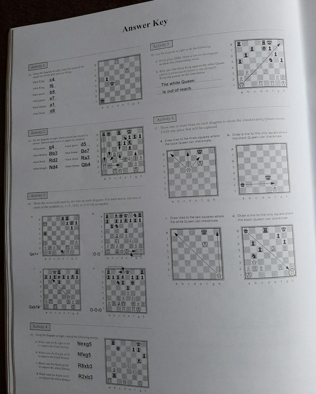 Checkmate! Ideas for Students - Bain