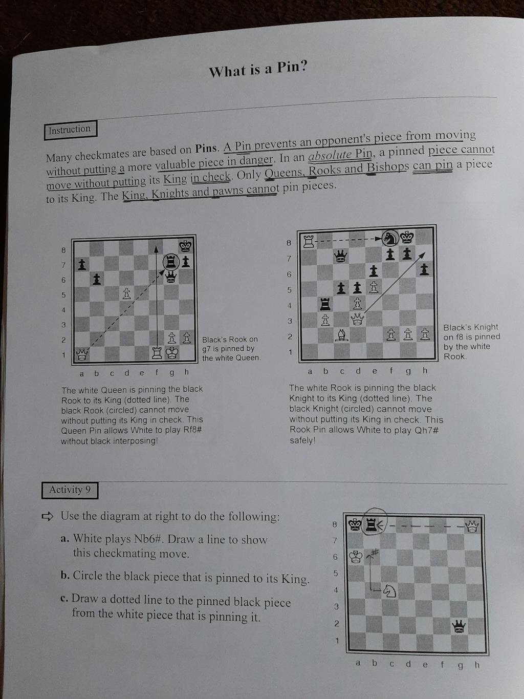 Checkmate! Ideas for Students - Bain