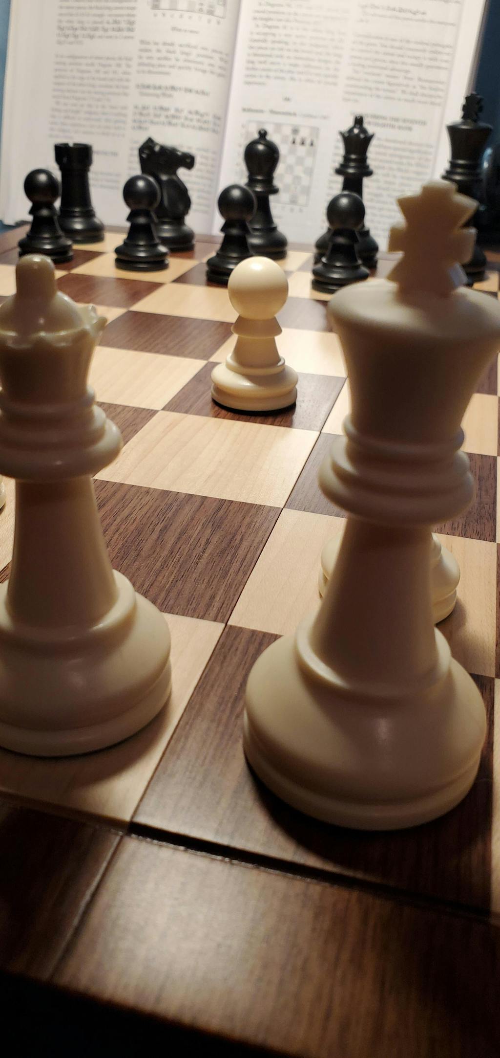 21" Folding Hardwood Player's Chessboard JLP, USA – Chess House