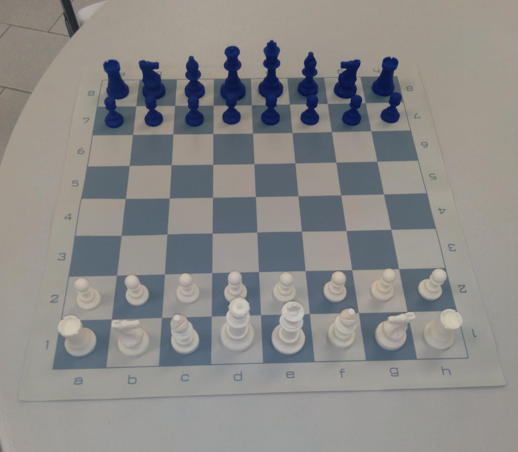 20" Vinyl Roll-up Chess Board – Chess House