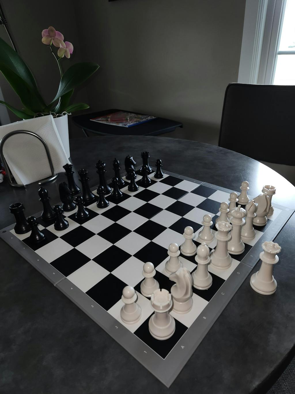 World Chess Official Chess Set Academy Edition