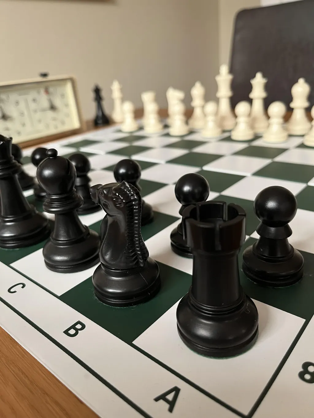 The Bobby Fischer Ultimate Chess Pieces