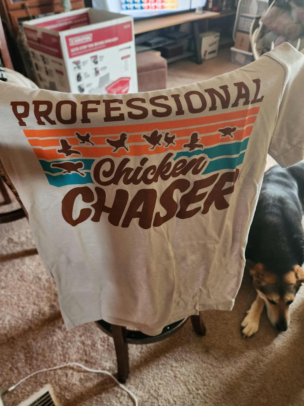 Chicken T-Shirt Subscription Box – Chicken Bawks