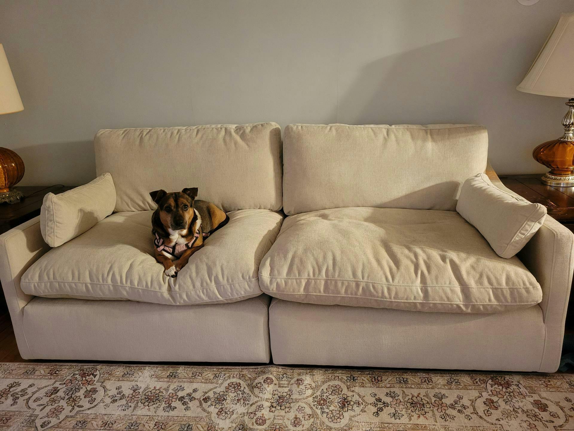 CHITA®️ Kenna Modular 4-Piece Sofa-Chaise Sectional (131 ...