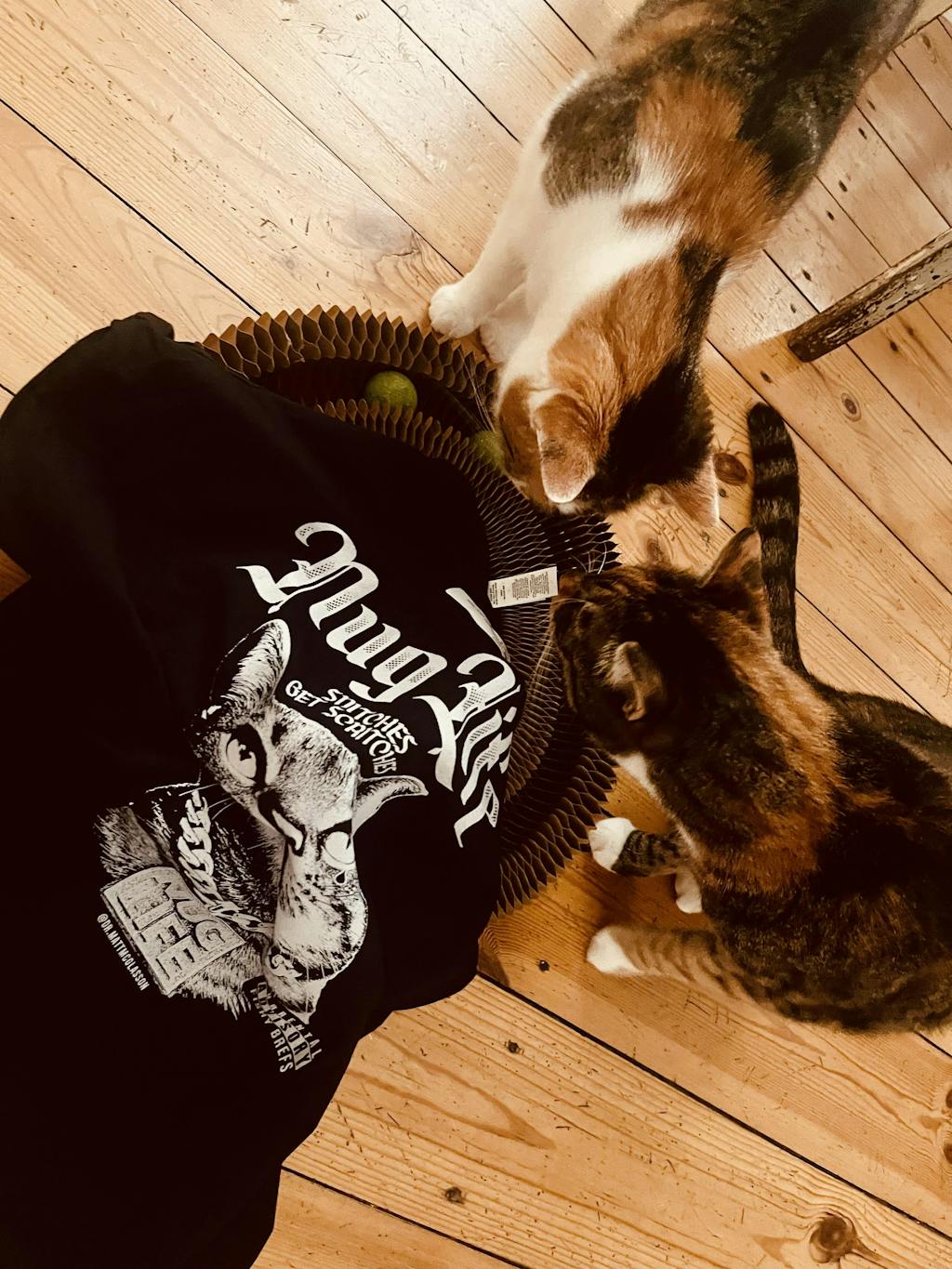 700 WLW Logo Tee | Cincinnati Talk Radio Apparel | Cincy Shirts