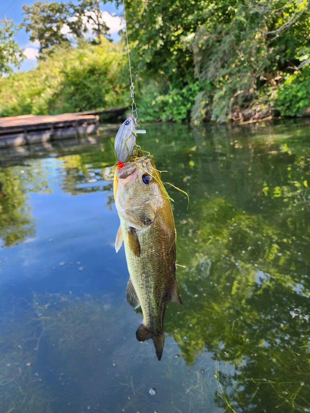 MIGHTY MOUSE LURE | CL8Bait | Best Bass Fishing Lure – Cl8bait