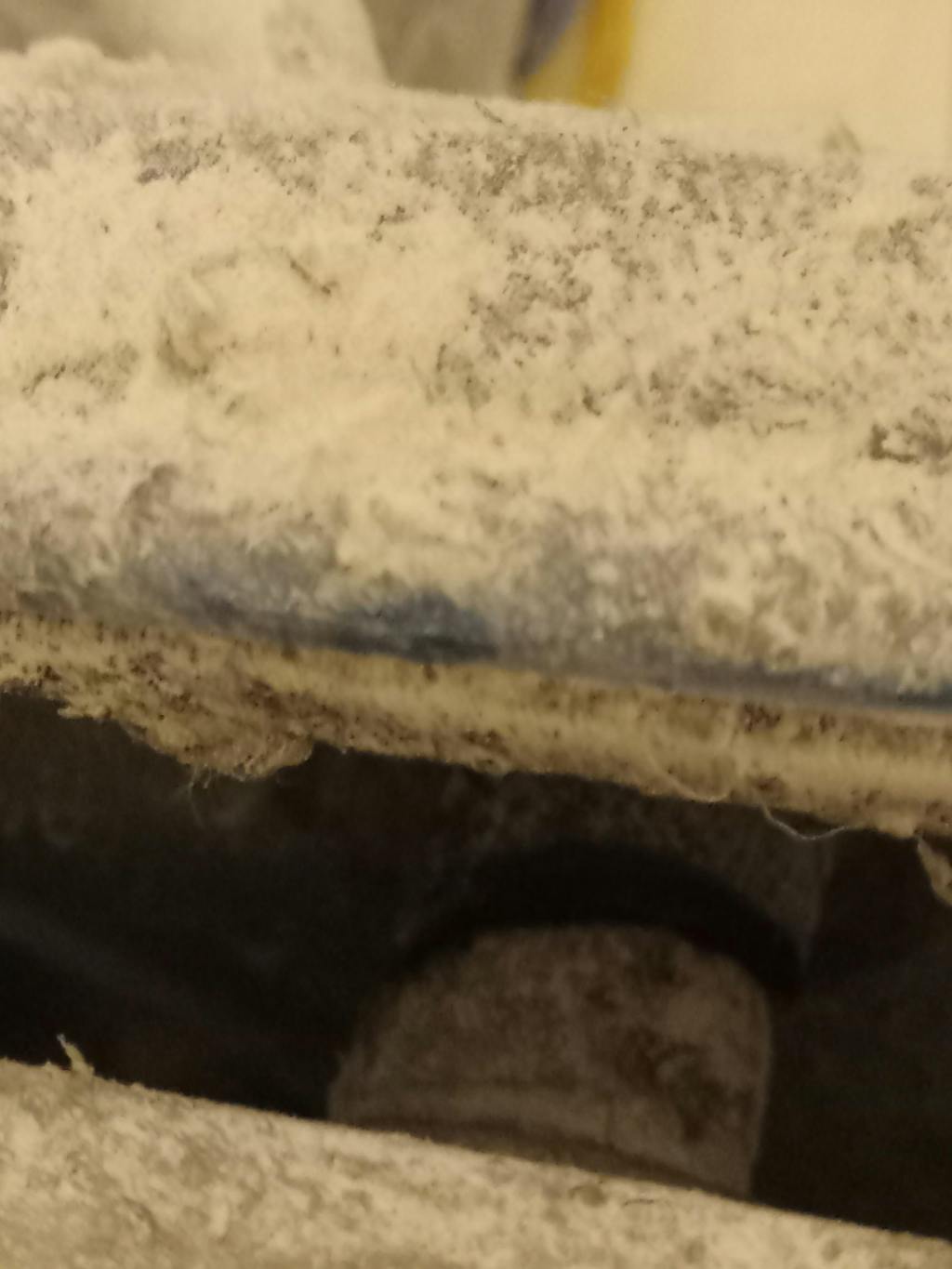 CleanFreak® 14" x 20" Oscillating Floor Machine for Dry Stripping ...