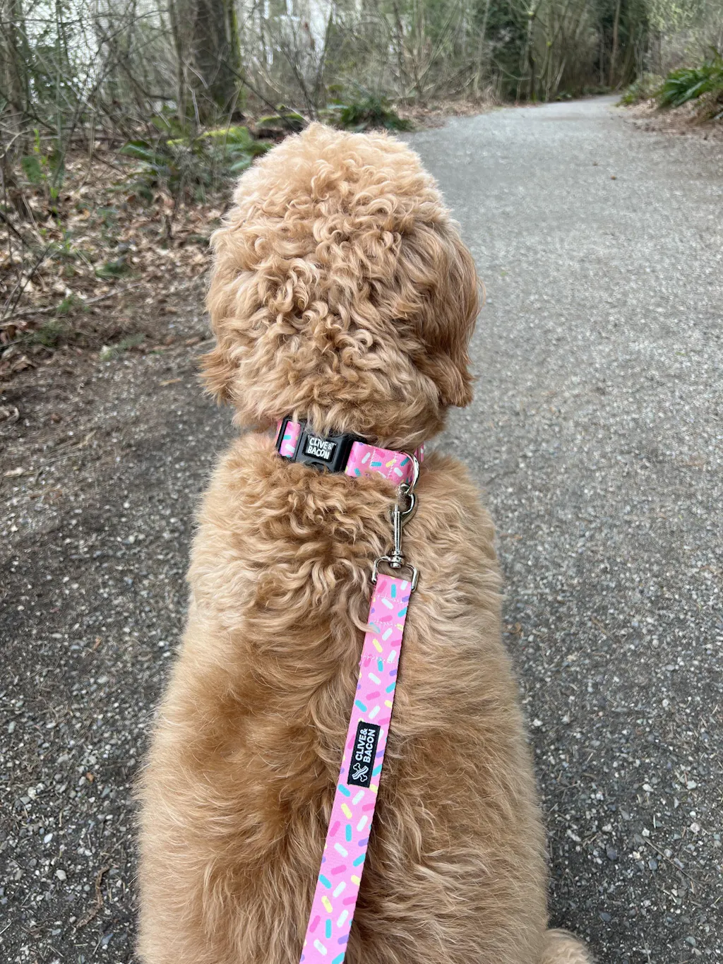 Clive and Bacon | Custom Dog Accessory Boutique