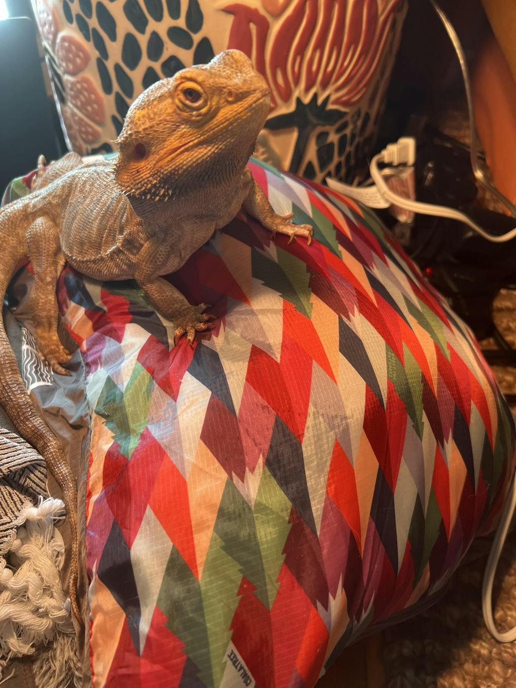 Hooded Blanket | Coalatree Eco Minded Goods