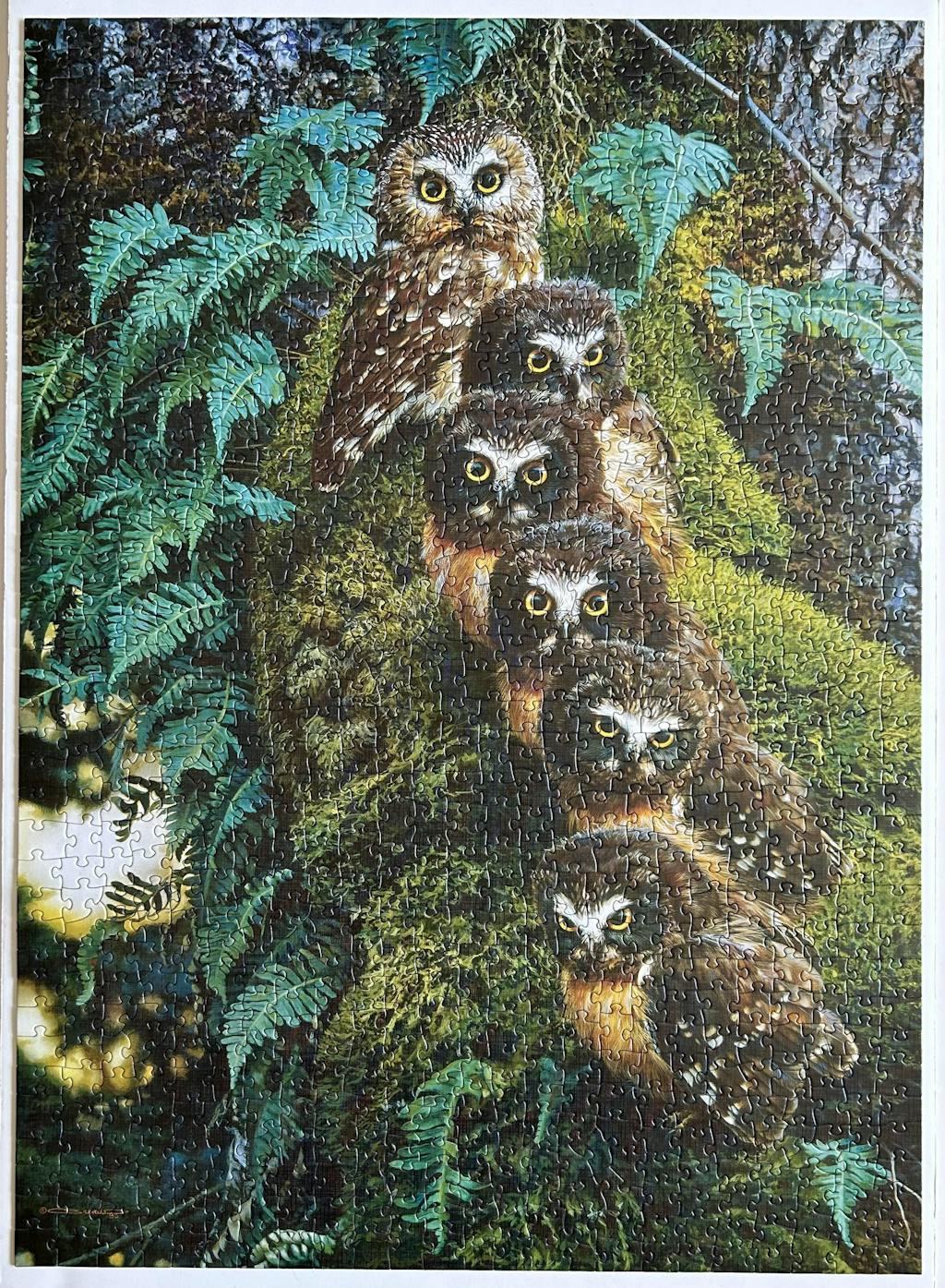 Family Tree 1000 piece jigsaw| 40170 |Cobble Hill Puzzles Official Website