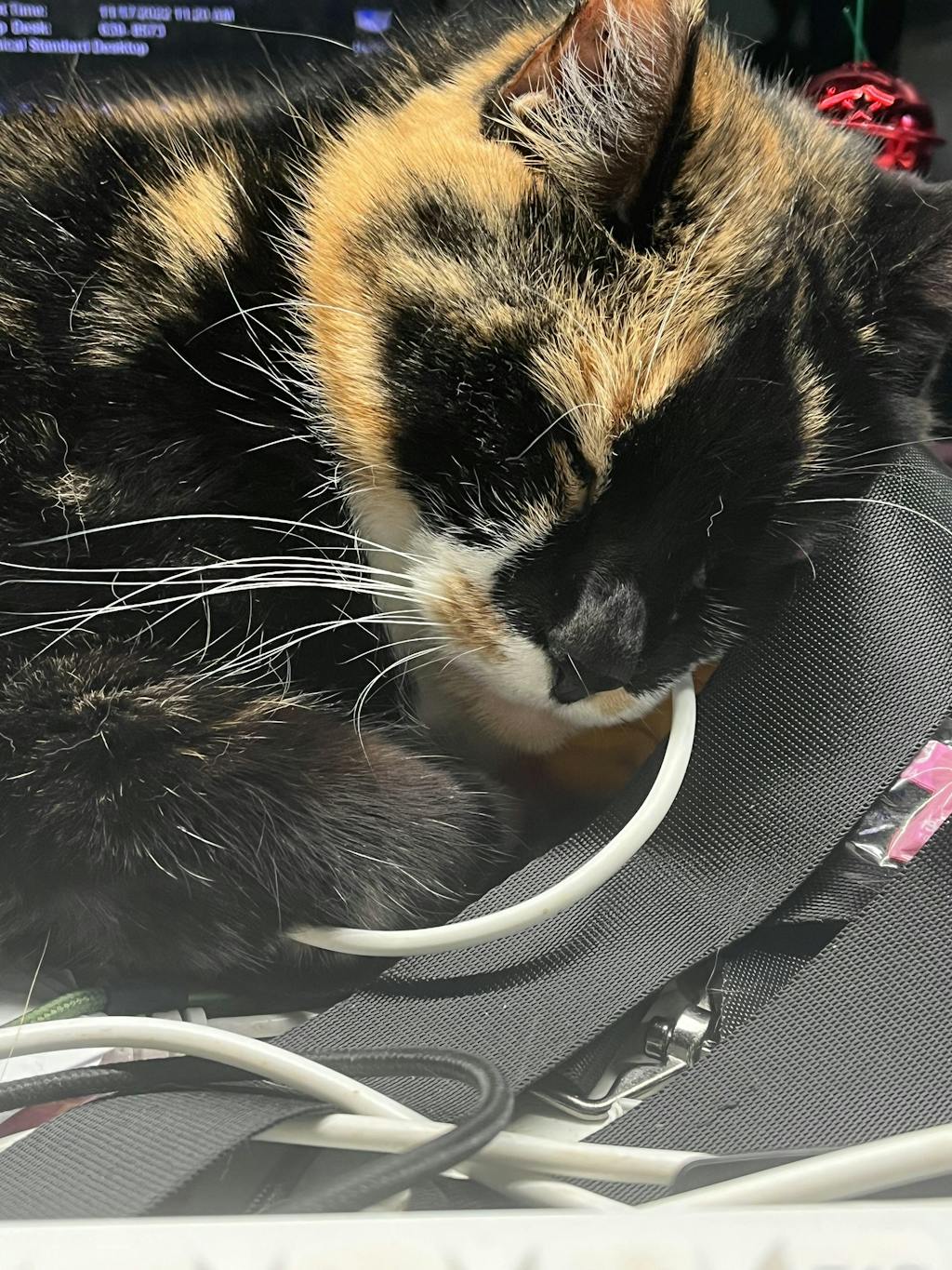 Organic Hairball Plus | Hairball Management | MCT Oil For Cats