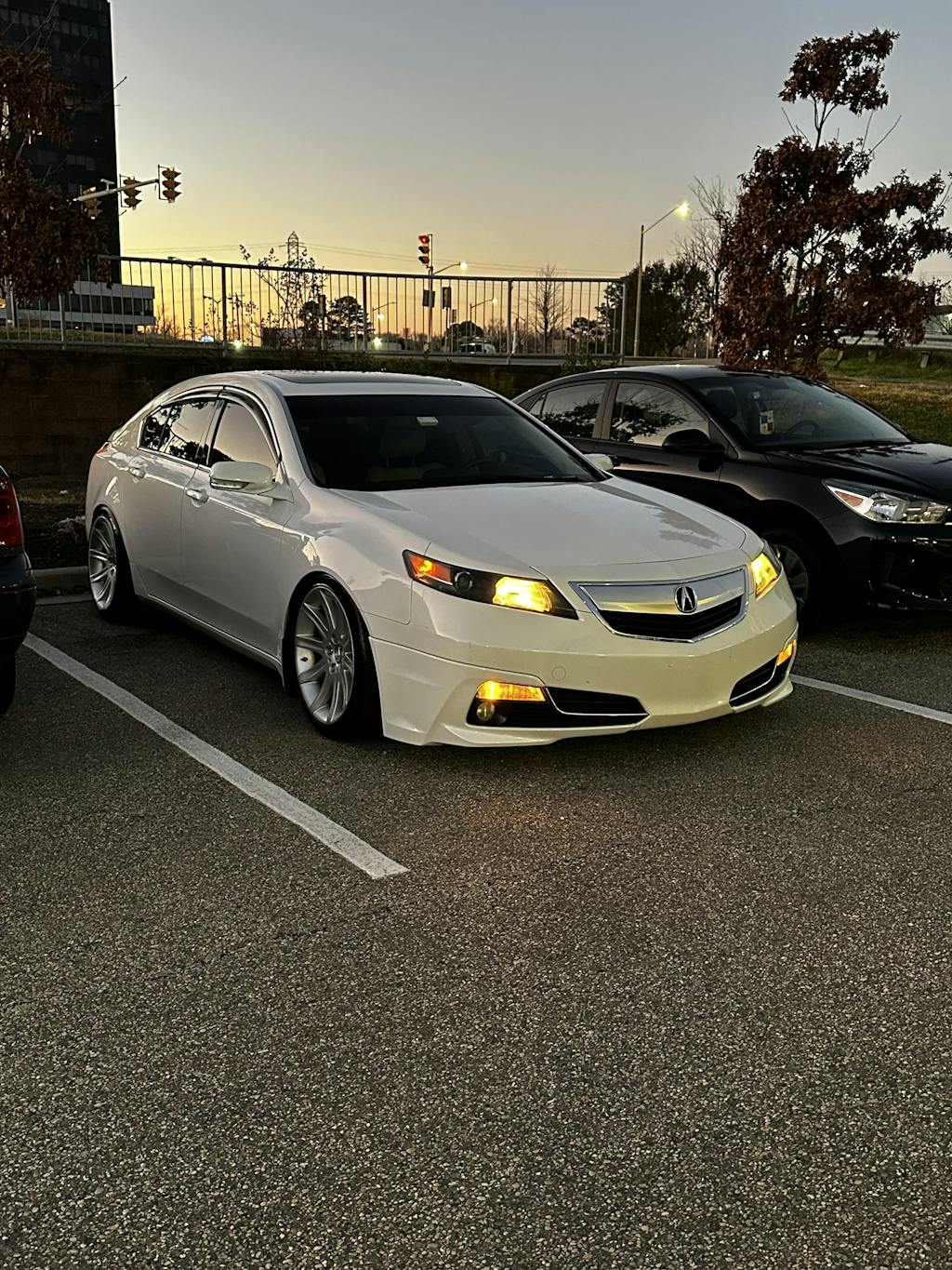 Coilover Depot Coilover Socks, Protect your coilovers from dirt and ...