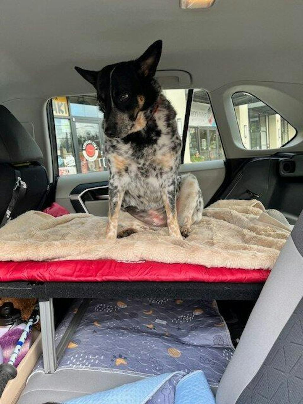 Toyota RAV4 Camper Conversion Kit - Bed Platform & Storage Drawers ...