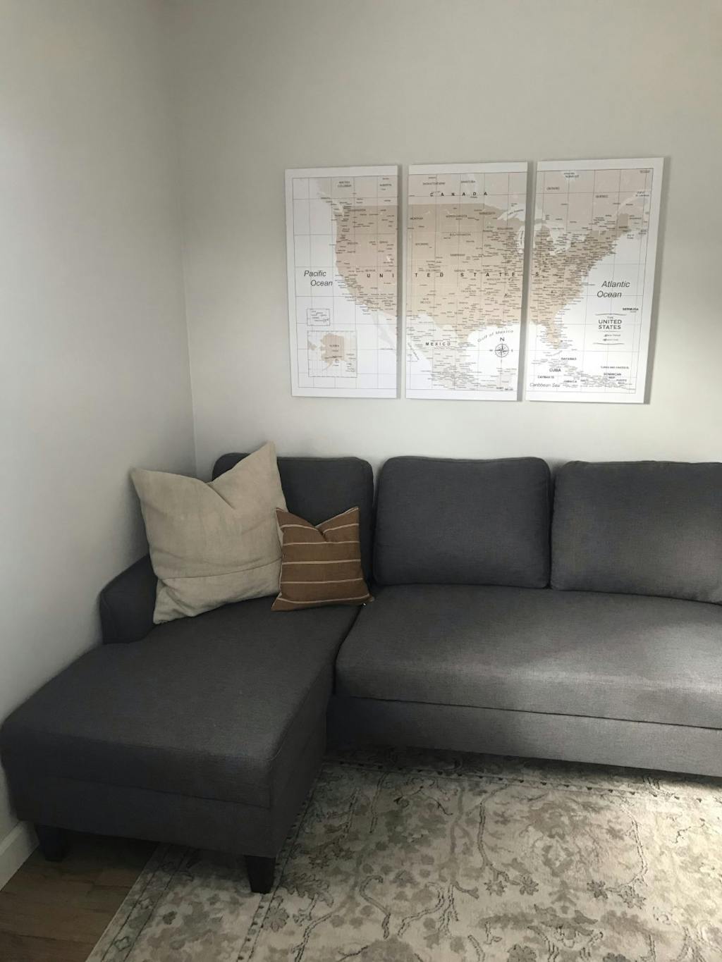 USA Travel Map Pin Board with Push Pins: Light Brown Color Splash