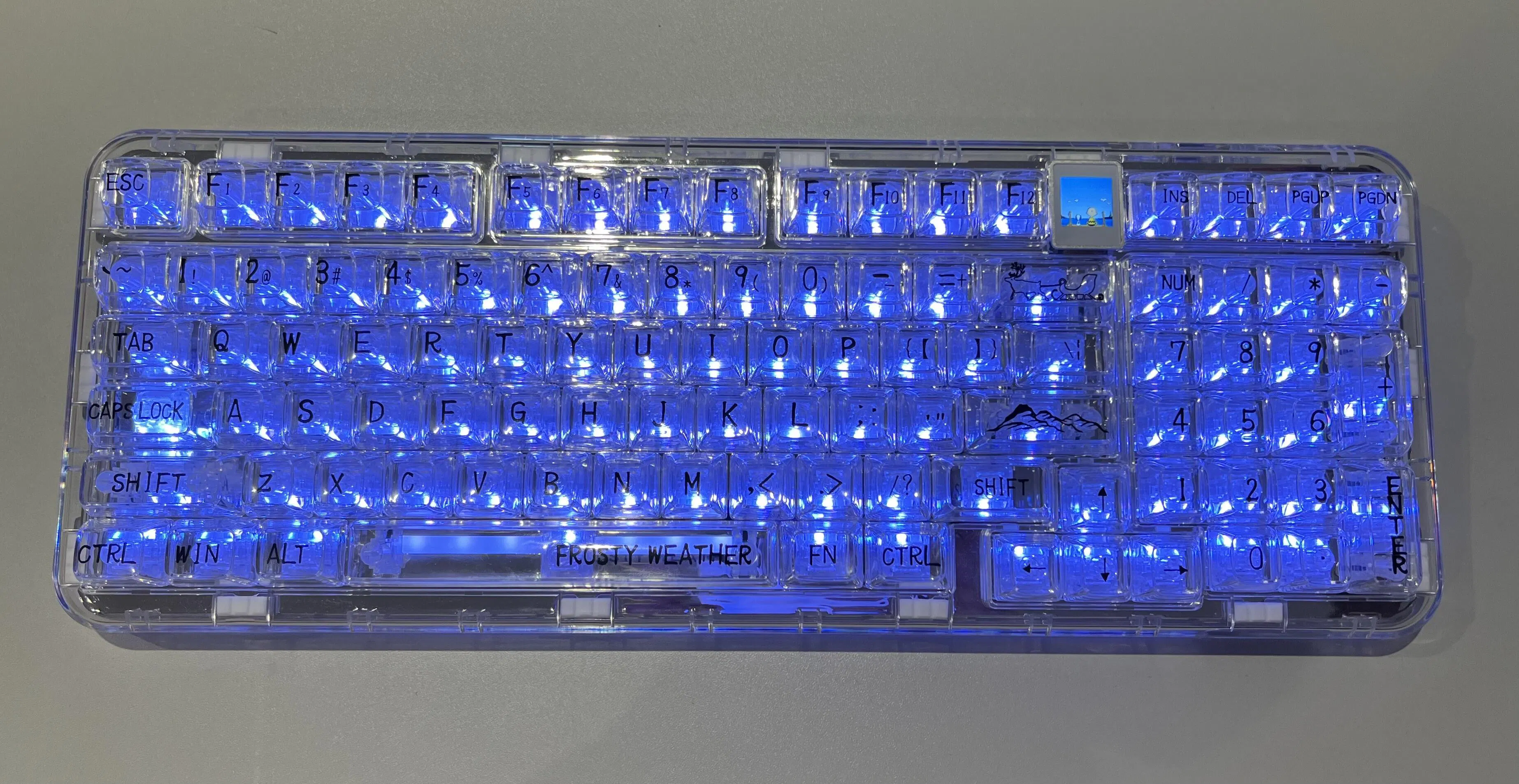 Coolkiller CK98 OLED Mechanical Keyboard-Polar Bear – CoolKiller