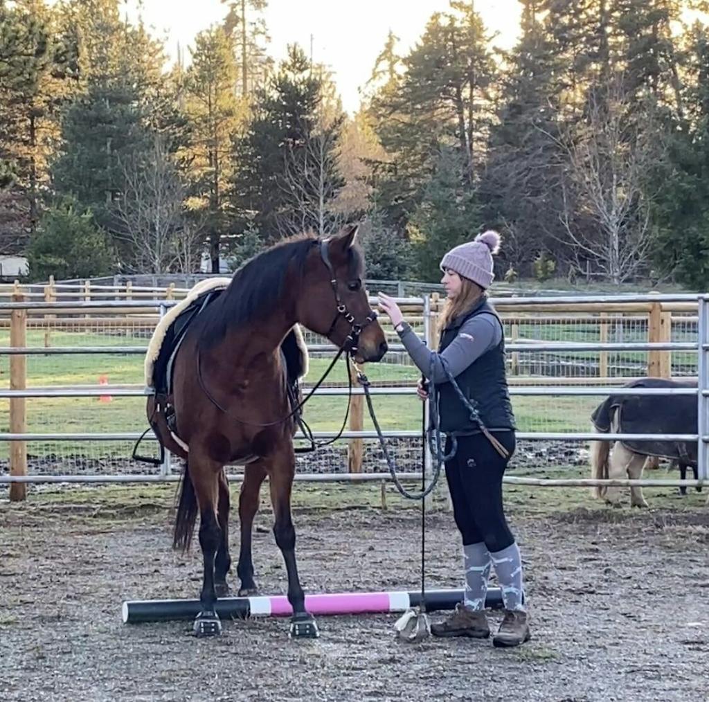 Pole - 6.5' ft Zero Maintenance (Polymer Wrapped Wood) – Copper Pony Poles