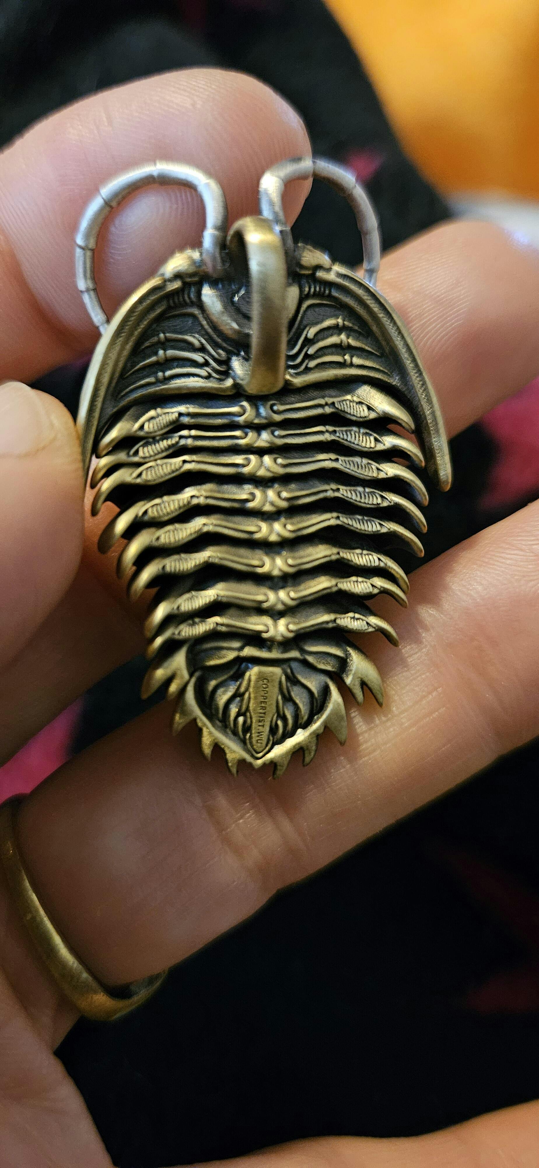 Brass Trilobite Pendant Amazing Articulated Pendant Coppertistwu