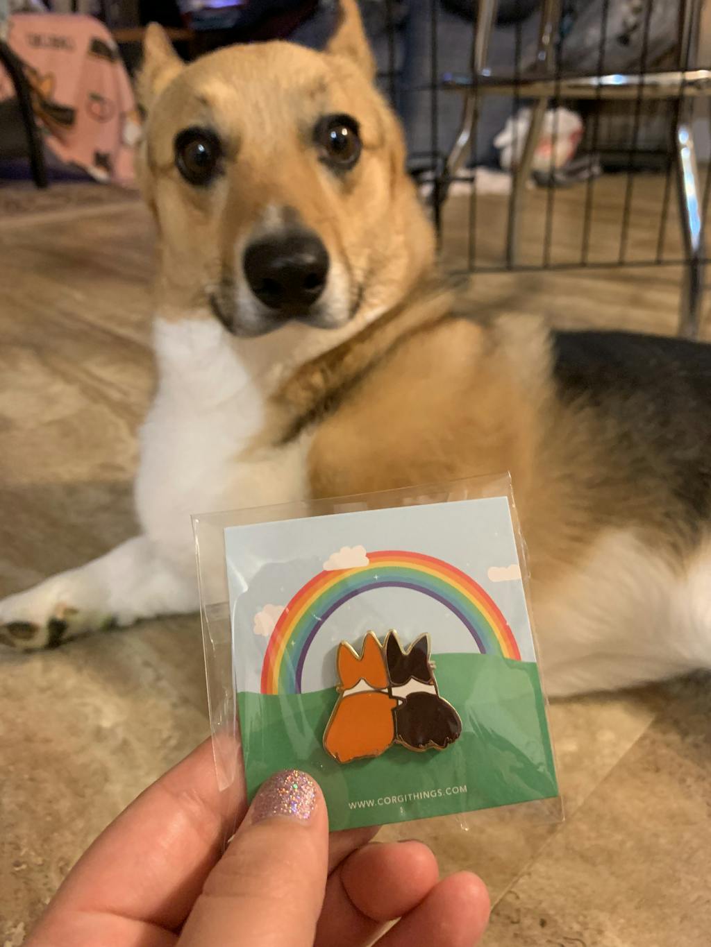 "Best Furiends Furever" Corgi Enamel Pin – Corgi Things