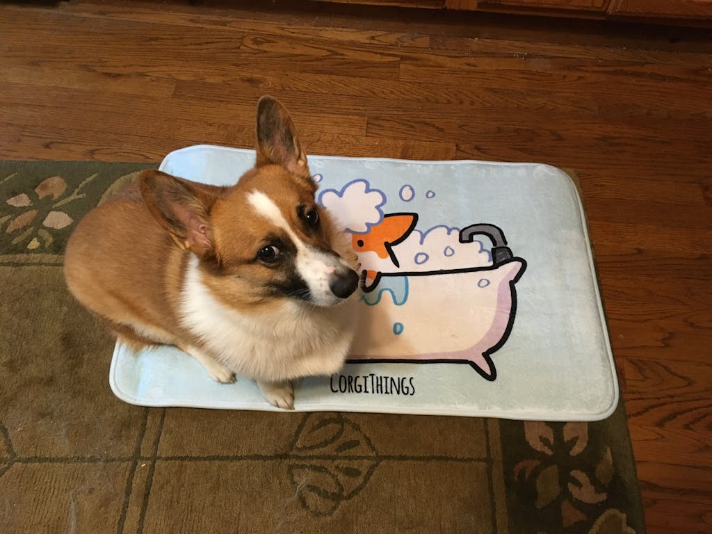 Red Corgi Bath Mat | 2 Sizes – Corgi Things
