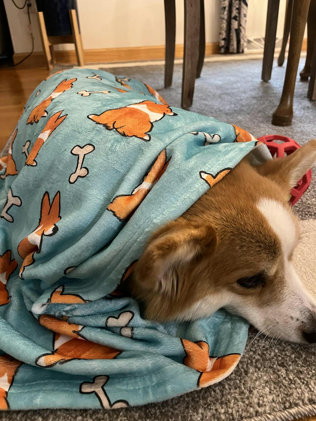 Pink Corgi Sploot Fleece Blanket | 3 Sizes – Corgi Things