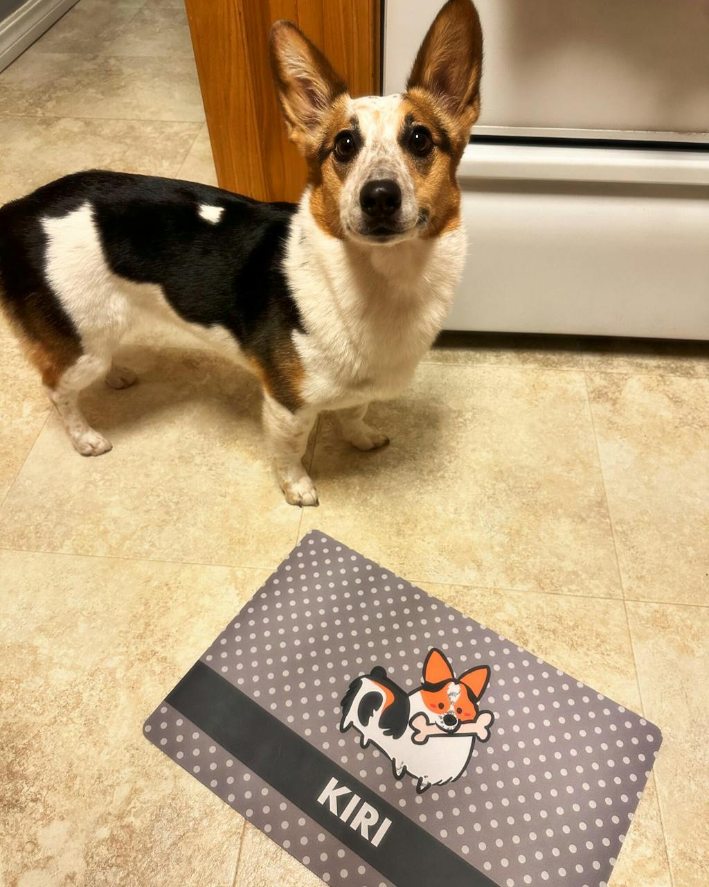 Custom Corgi Fabric Pet Placemat | 12" x 18" – Corgi Things