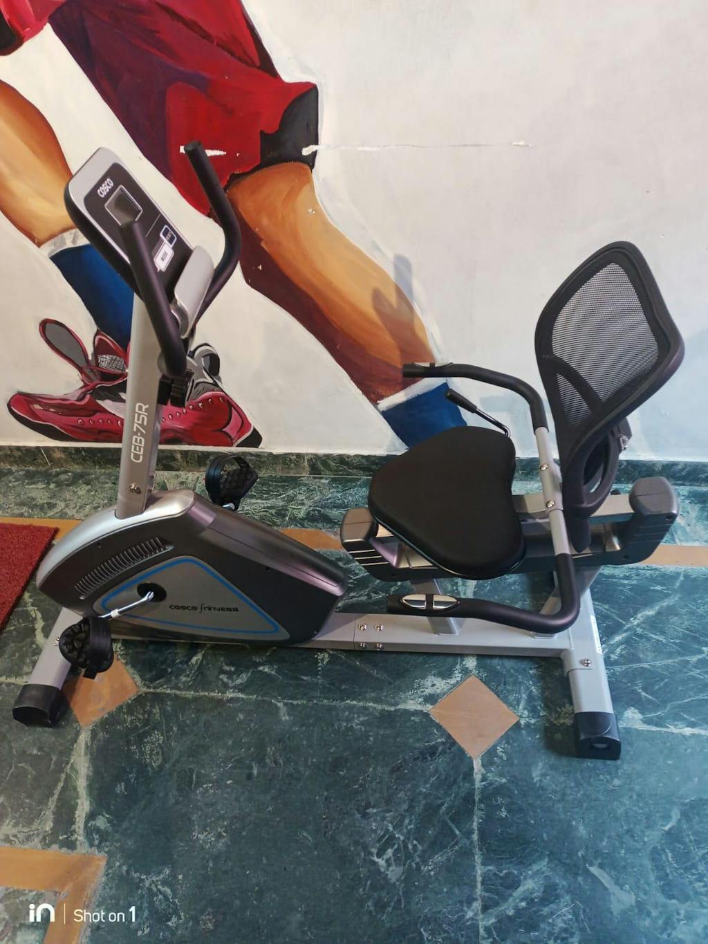 CEB-28R Recumbent Bike – Cosco Store India