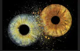 Couple Eye Iris Photo – COSMIC EYE Iris Photo