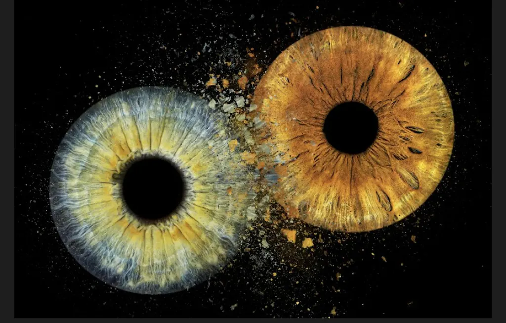 Couple Eye Iris Photo – COSMIC EYE Iris Photo